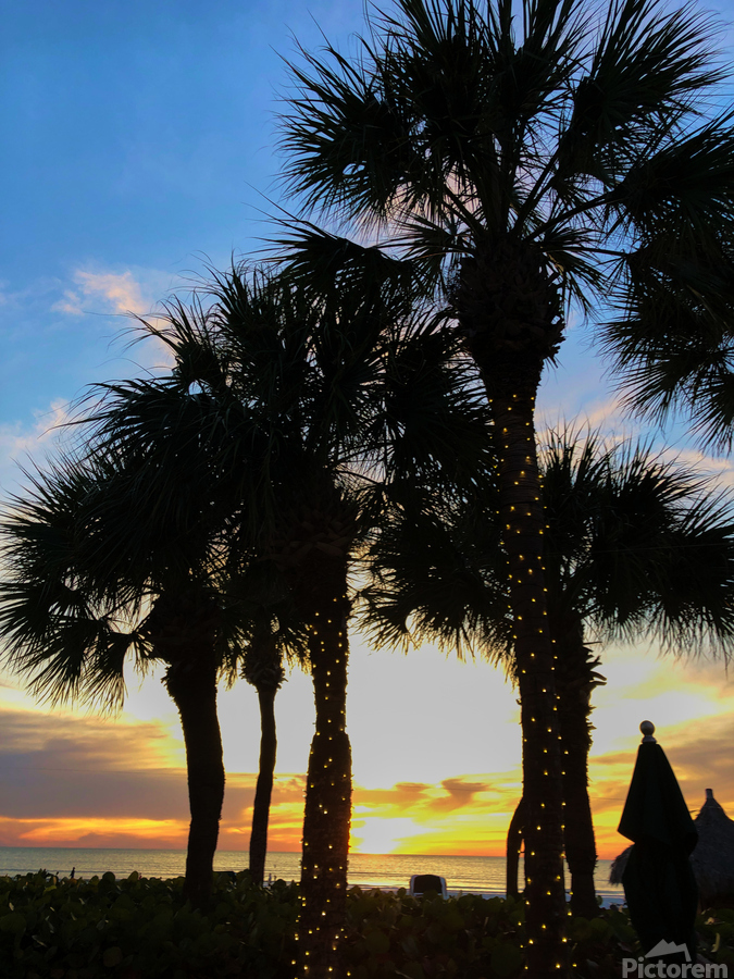 Palm Tree Sunset by Darin E Hartley Photography Wall Art