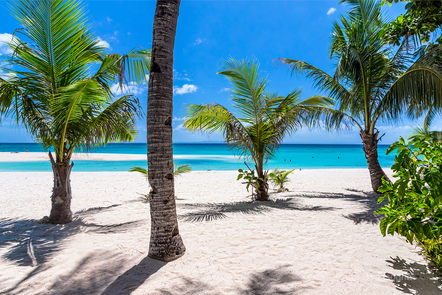 Tropical Vacation View by Bo Insogna Wall Art