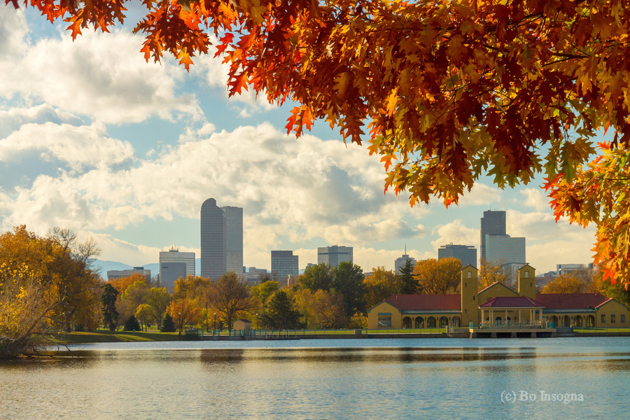 Denver Skyline Fall Foliage View by Bo Insogna Wall Art