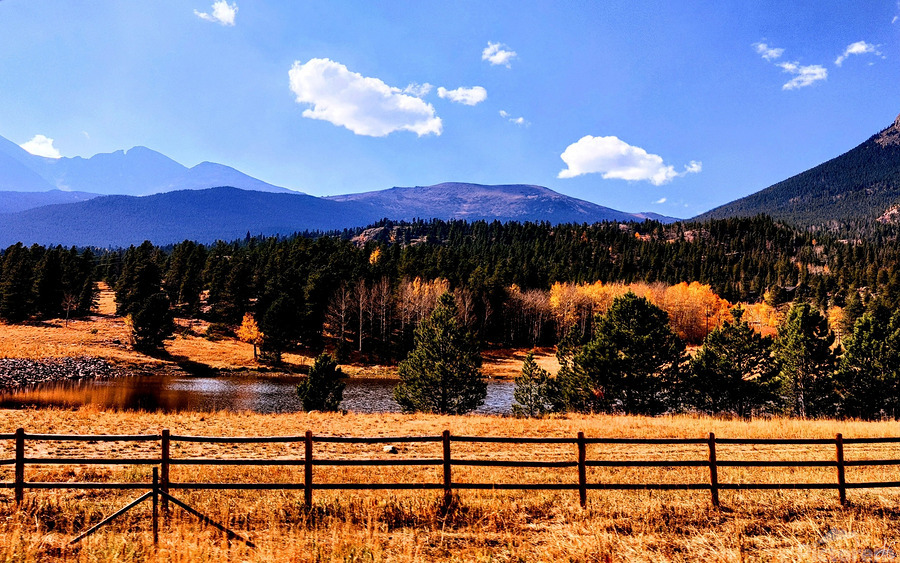 Fall Finds Us par Ell Cee