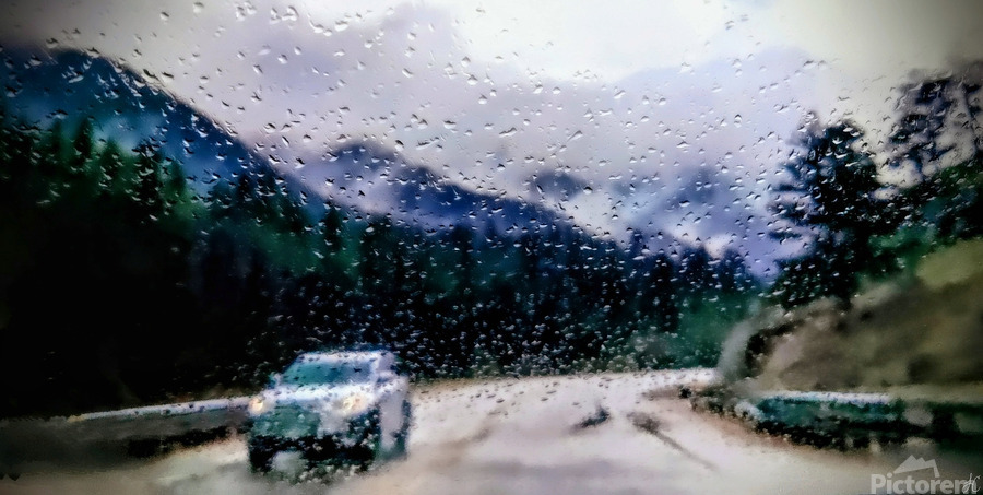 The Cello by Ell Cee Wall Art