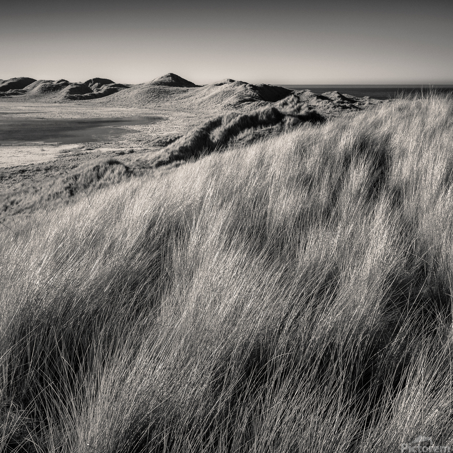 Rattray Head Dunes by Dave Bowman Wall Art