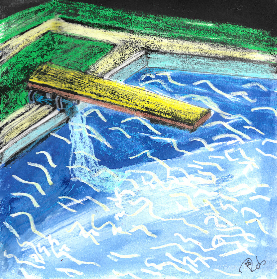 Diving Board with Shadow after Hockney 1978 by Robert Burton Wall Art