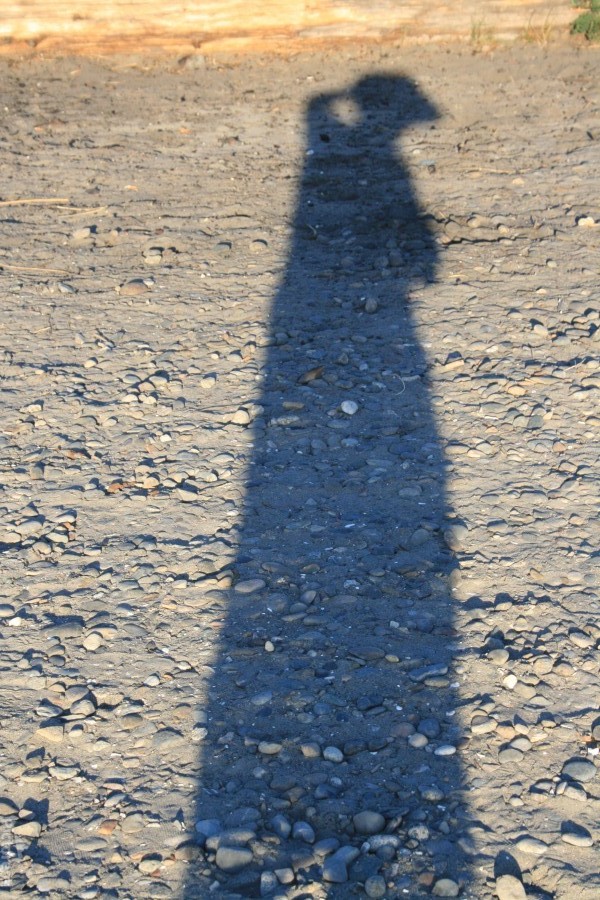 a tall witch by Helen Chow Wall Art