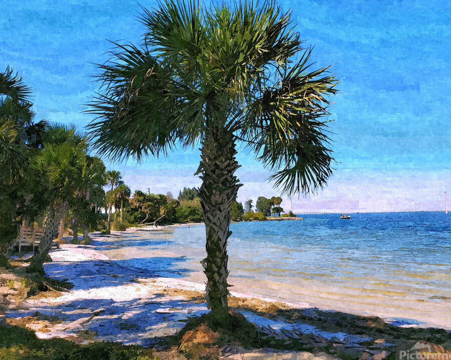 Lone Palm Tree by BRADLEY HIQUET Wall Art
