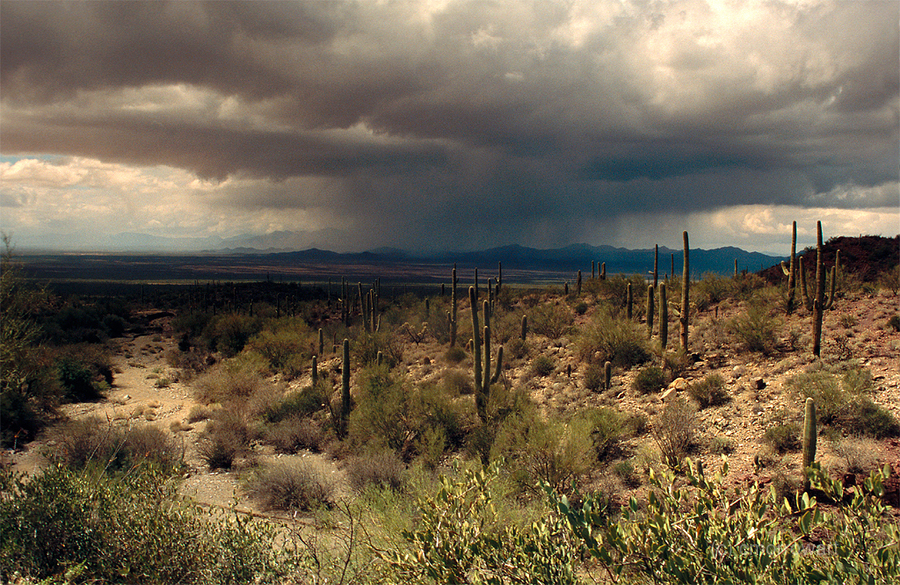 Arizona Storm by cmorrowart Wall Art