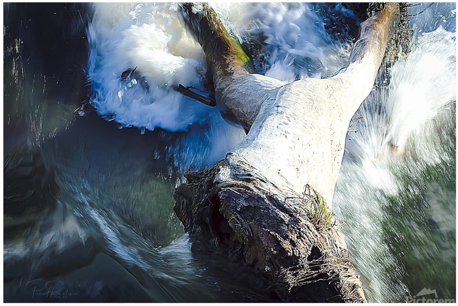 force nature by Pierret Paradis Foto Art Wall Art