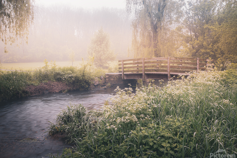 Cedar Creek Park Misty Morning by Jason Fink Wall Art