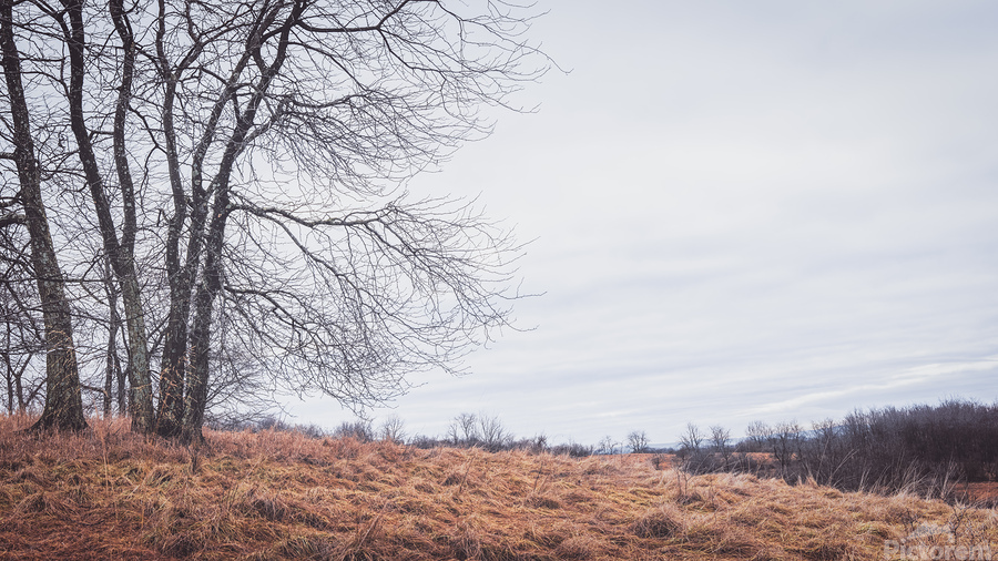 Lehigh Valley January Landscape by Jason Fink Wall Art