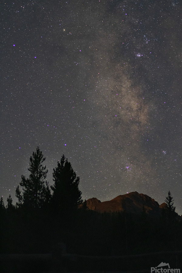 Starry Night by Emily Castro Wall Art