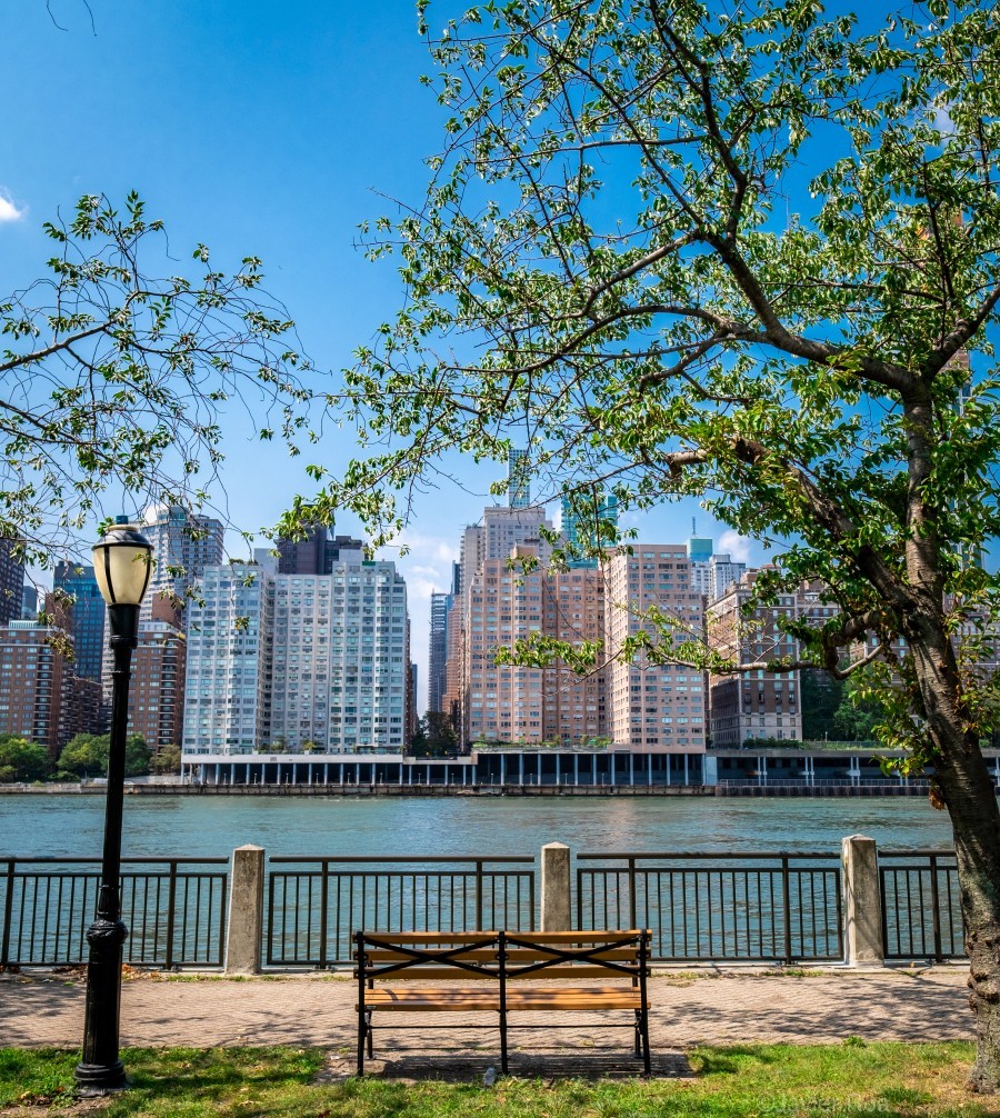 Roosevelt Island by Javier Roa Wall Art