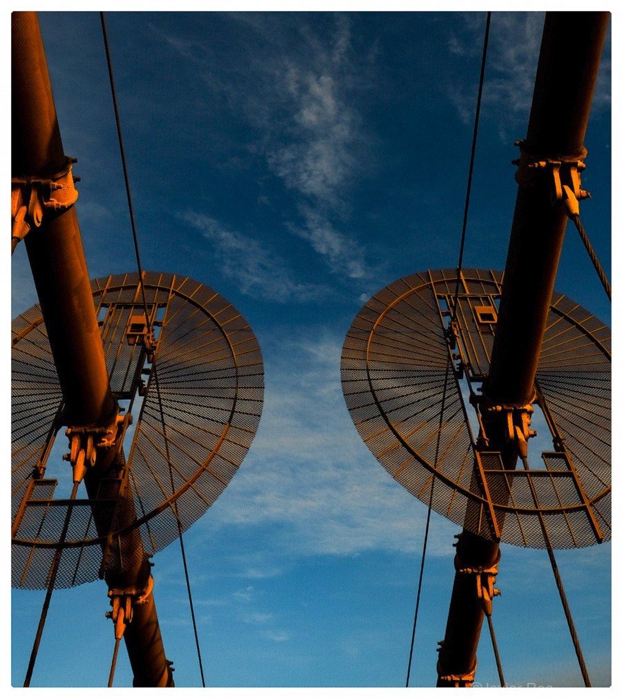 Bridge by Javier Roa Wall Art