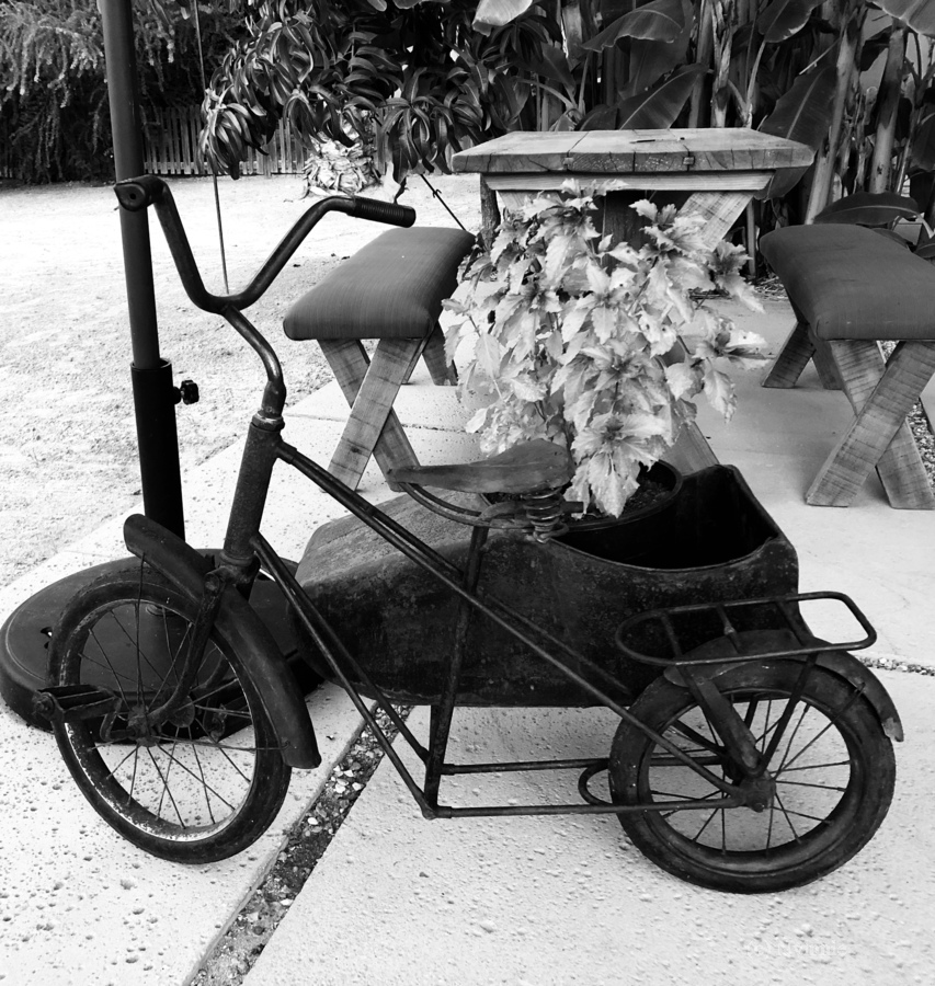 Old cycle by Nvinnie Wall Art