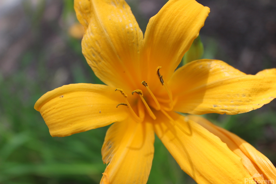 IMG 1851 by Sky Captain Wall Art