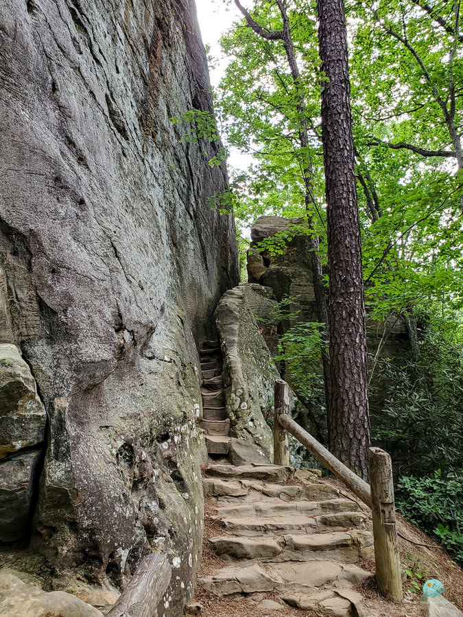 Natural Bridge Stairs by Yolanda Handy Wall Art