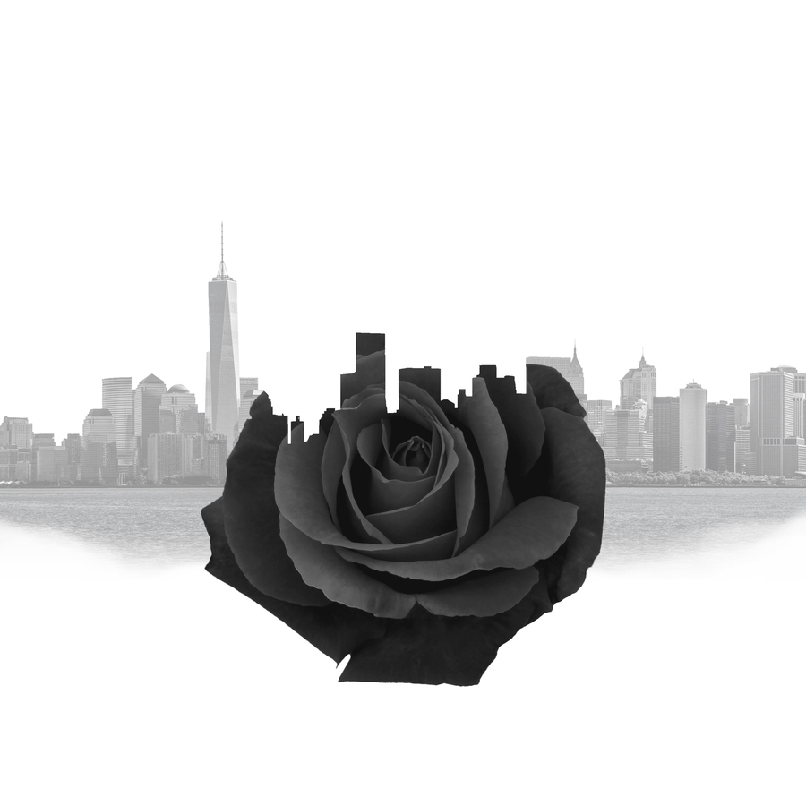 New York Rose Black by Altered State Design Studio Wall Art
