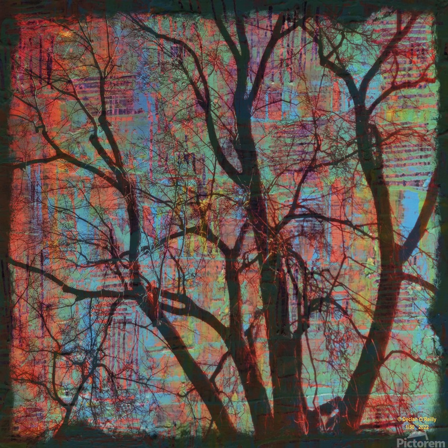 Natures Capillaries by Declan O Reilly Wall Art