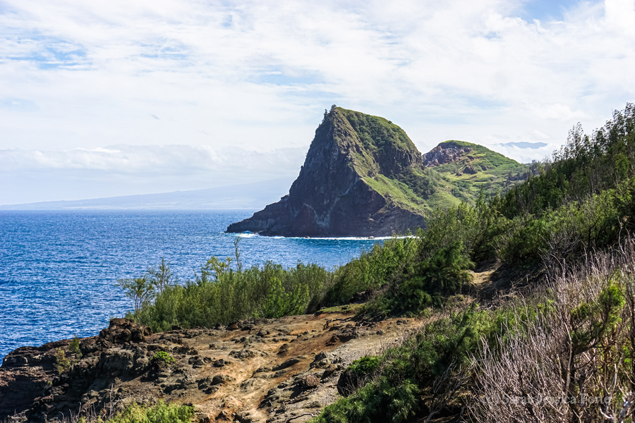Meet Me By the Dunes by Sarah Jessica Forte Wall Art