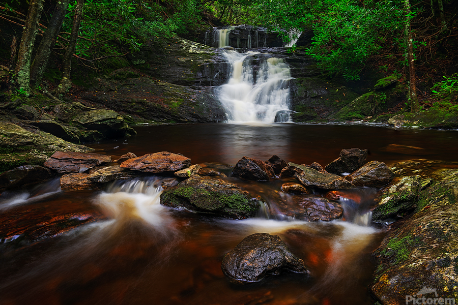 Rainy Day at Big Laurel Falls by Andy Crawford Wall Art