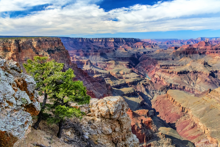 Standing on Navajo Point by Andy Crawford Wall Art