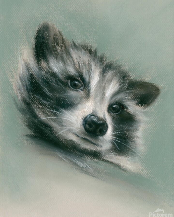 Raccoon Furry Woodland Creature by MM Anderson Wall Art