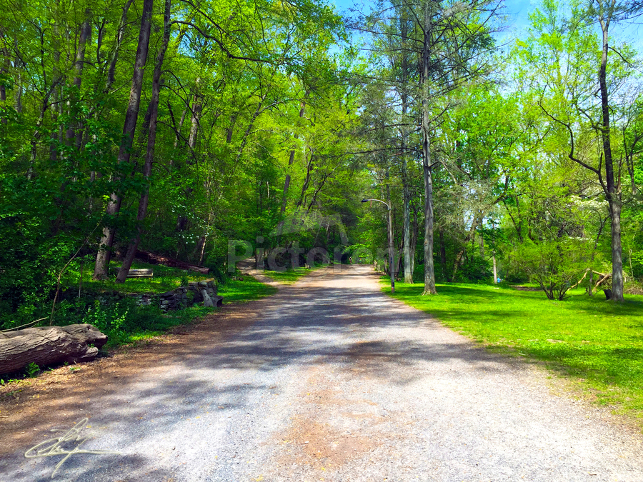 Stay On Your Path by Chris Mann Wall Art