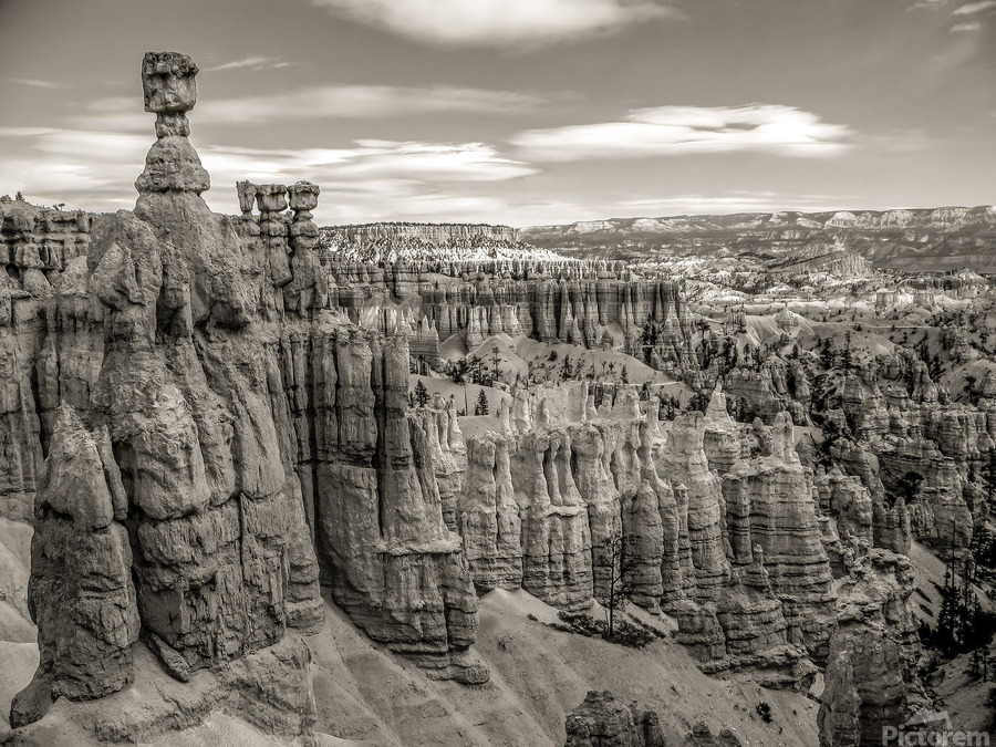 Bryce Canyon by Life s Trail Photography Wall Art