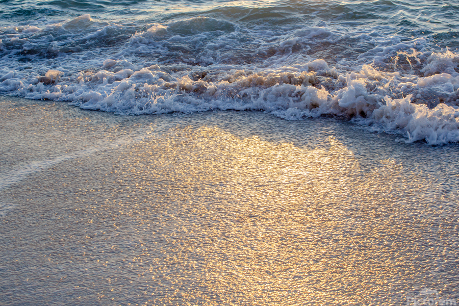 sandy golden sparkle- Naples Florida Beach by TommyRue Wall Art