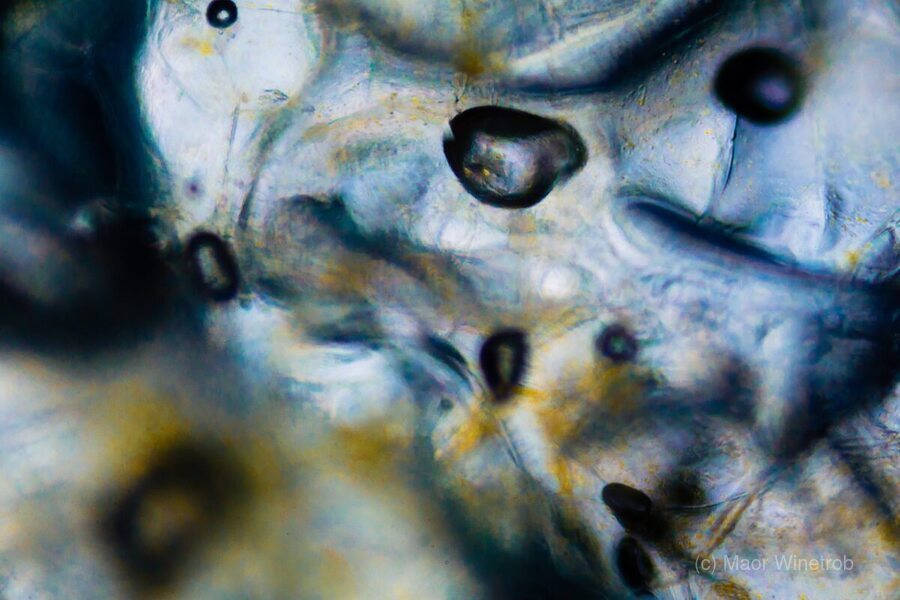 Liquid under the microscope - Abstract textures and colors par Maor ...