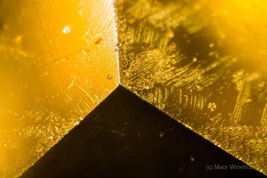 Yellow gem under the microscope by Maor Winetrob Wall Art