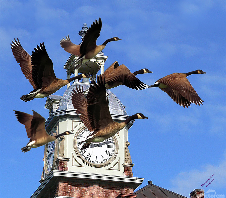 Flock and a Clock by Ron Crough Wall Art
