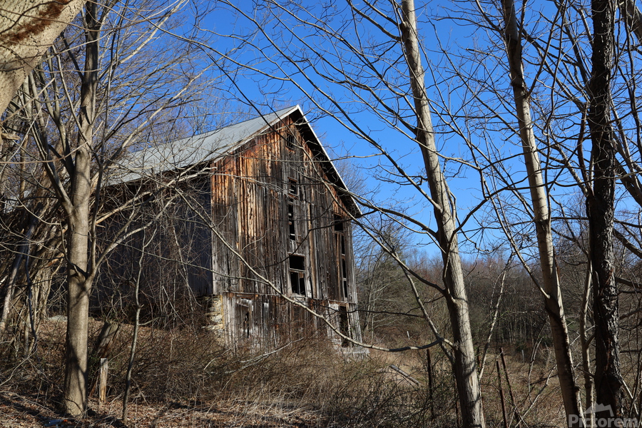 Cherry Brook Barn by Brian Camilleri Photography Wall Art