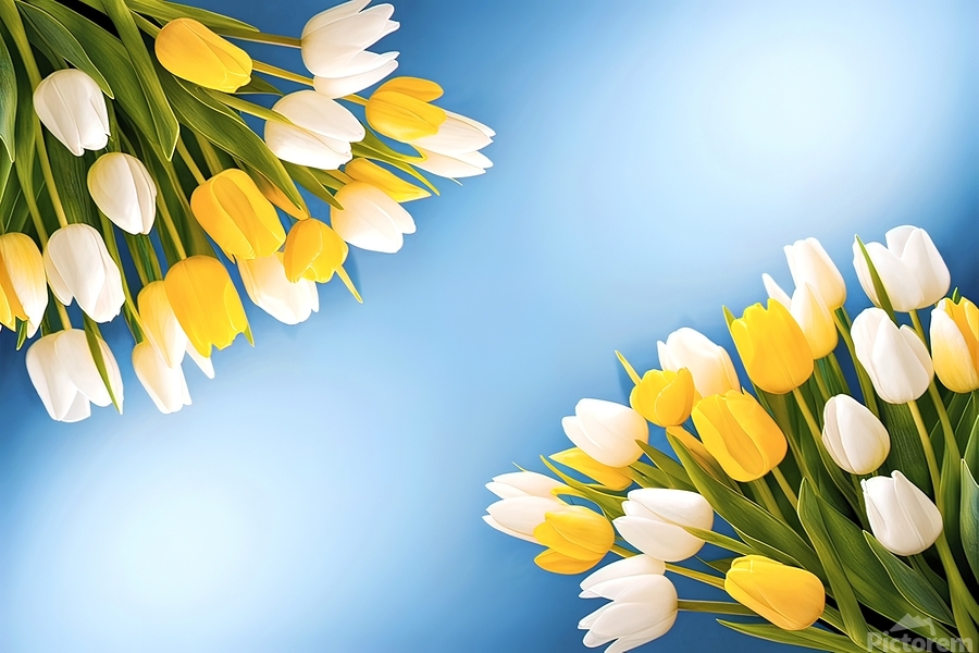 Spring flowers background by Liviu Ghitun Wall Art