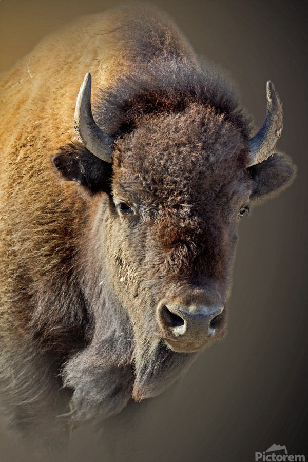 Dirty Details by B Zolle Wall Art