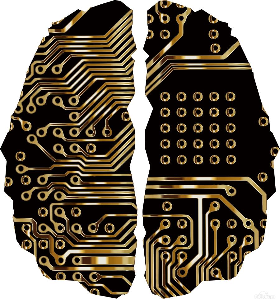 brain circuit board pcb computer by Shamudy Wall Art