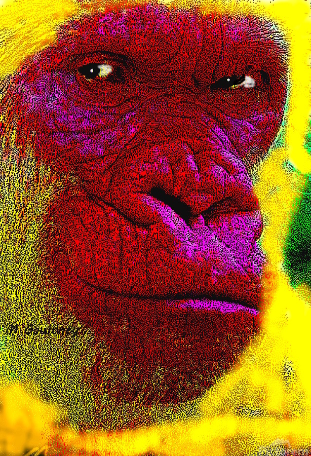 GRUMPY GORILLA by Monroe Gaultney Wall Art