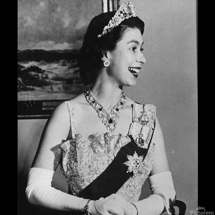 Queen Elizabeth II by Lilly Newton Store Wall Art