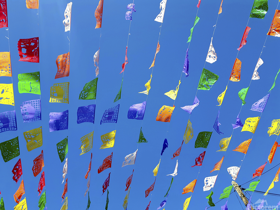 Colourful Flags by Darrel Giesbrecht Photography and Fine Art Wall Art