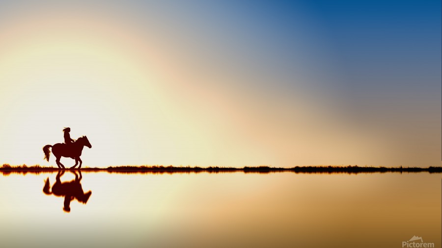 reiter, horse, water, sunset, dawn, sky, sun, waters, mirroring ...