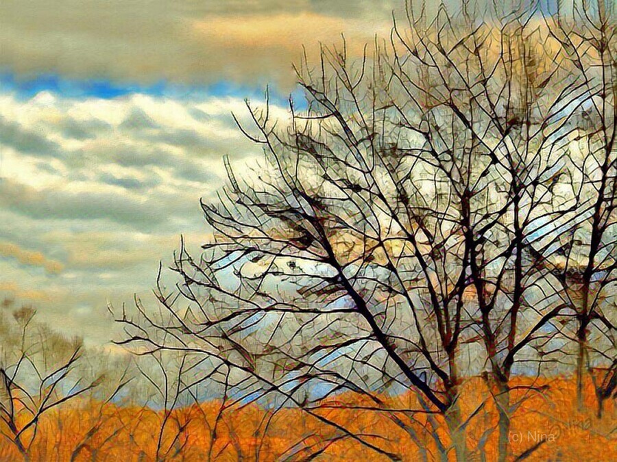 Branches by Nina Wall Art