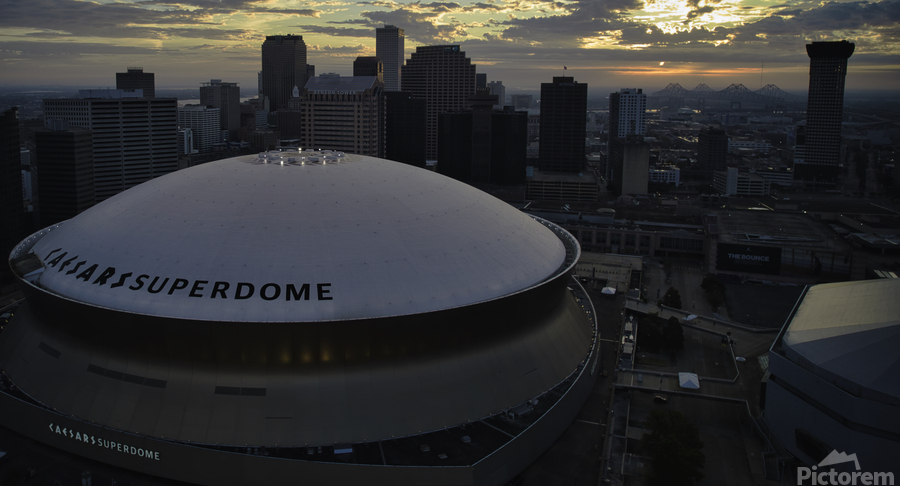 Superdome 2 by Mischa Wall Art