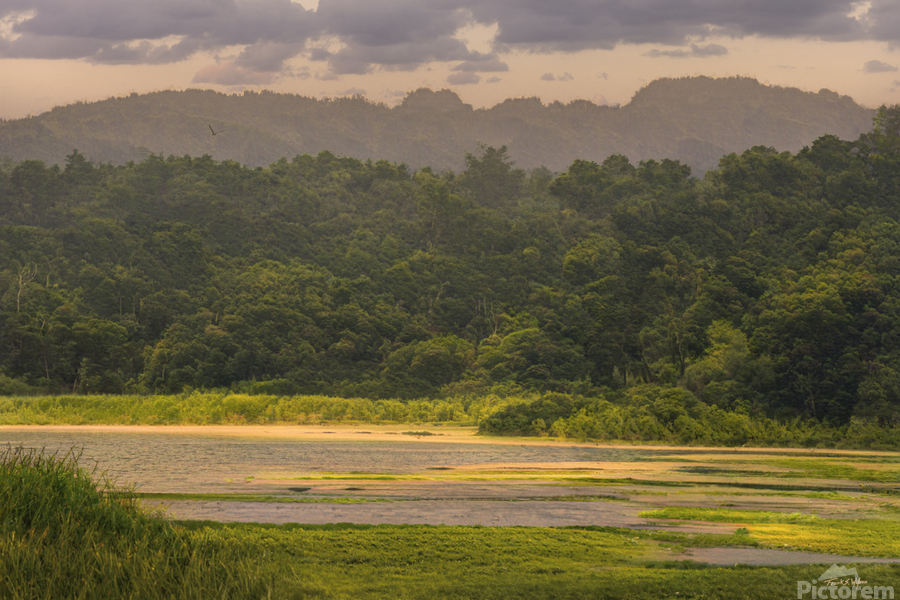 Saltwater Marsh by Frank Wilson Wall Art