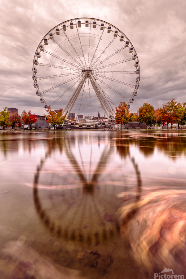 Montreal Fall colours by Telly Goumas Wall Art