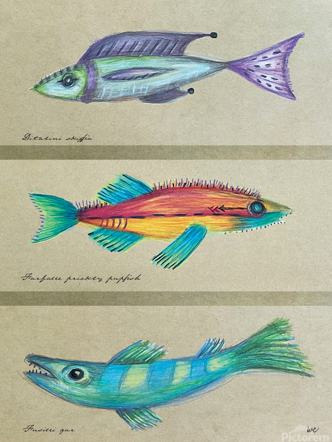 3 Odd Fish by Chris Winn Wall Art