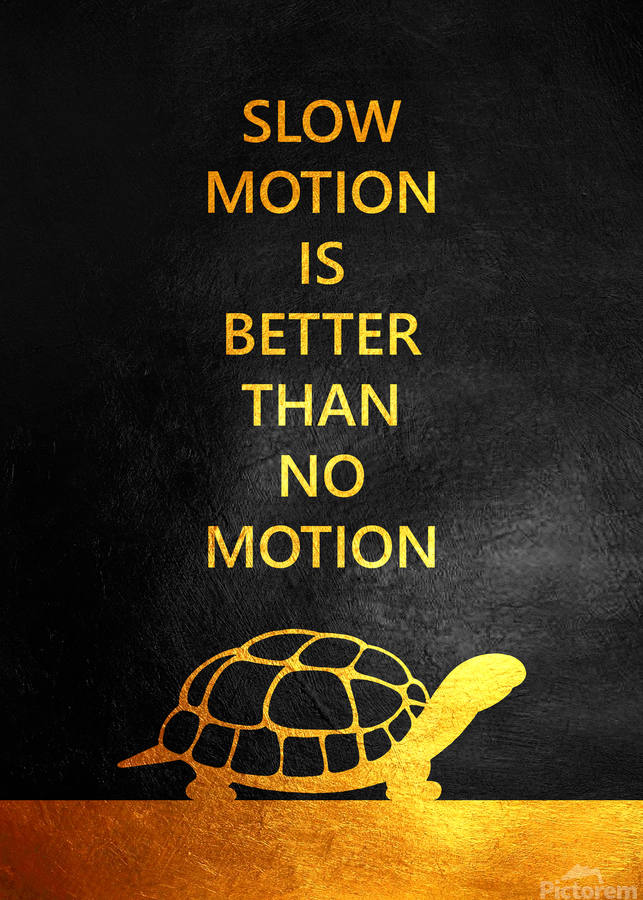 Slow motion is better than no motion. Motivational Wall Art by ...