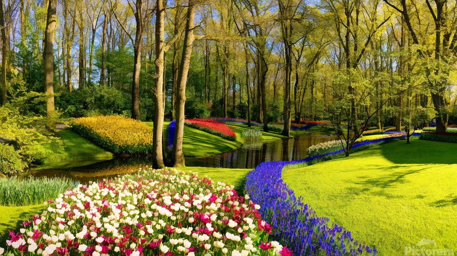 Colorful Tulip Oasis - CR2305-9212-ABS by JordiCarrio Wall Art