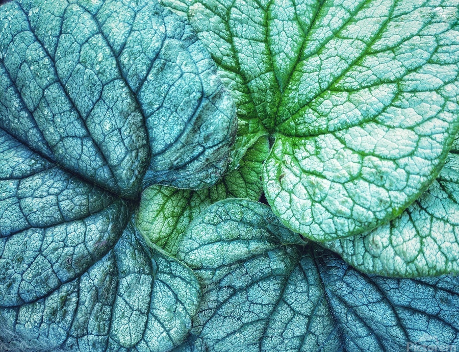 F154 by Natalie Stanislavsky Wall Art