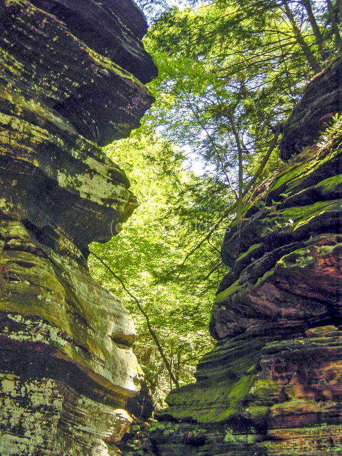 Vintage The Dells of the Wisconsin River 5 of 10 Cambrian Sandstone ...