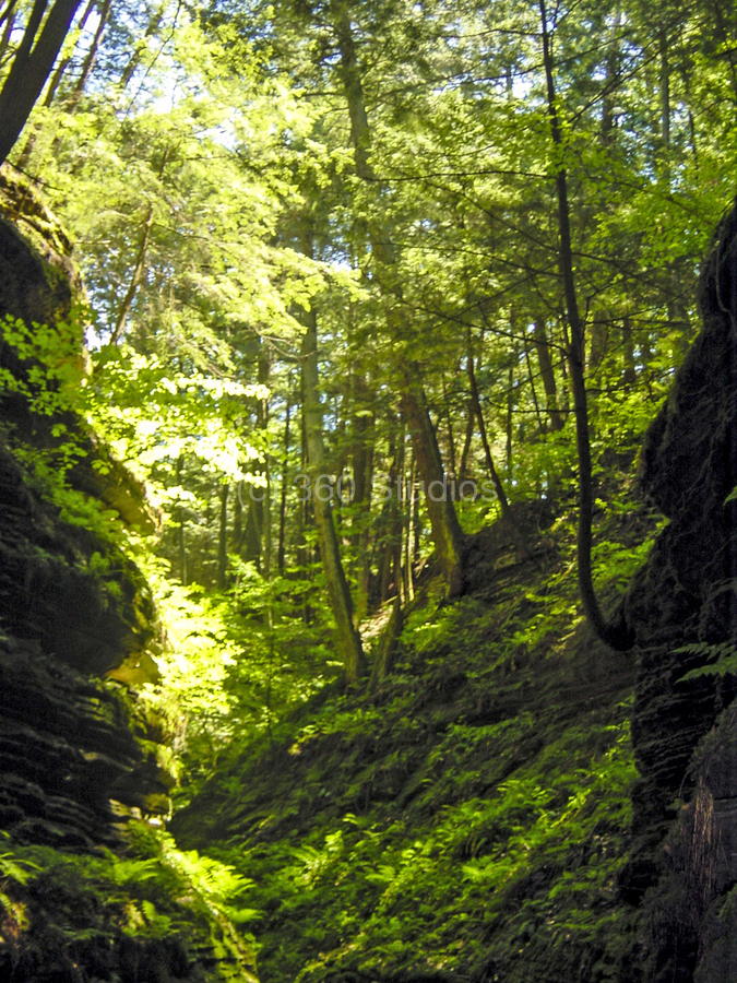 Vintage The Dells of the Wisconsin River 6 of 10 Cambrian Sandstone Rock Formations by 360 ...
