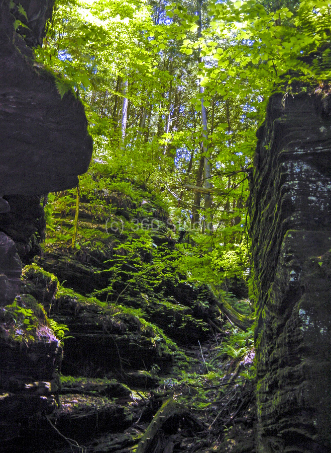Vintage The Dells of the Wisconsin River 9 of 10 Cambrian Sandstone ...